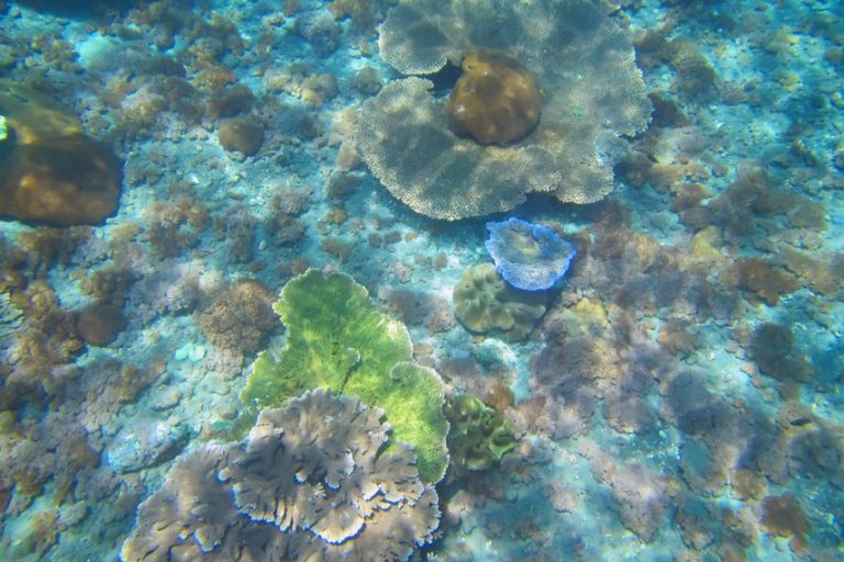 Nusa Penida, Exploring Exotic Coral Reefs - Bali Travel Diary