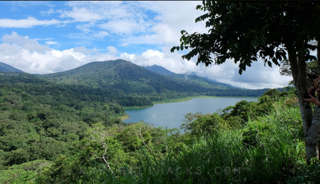Mysterious and Sacred Atmosphere of Lumut Forest in Lesung Mountain ...
