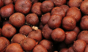 5 Balinese Fruits as Alternative Souvenirs - Bali Travel Diary